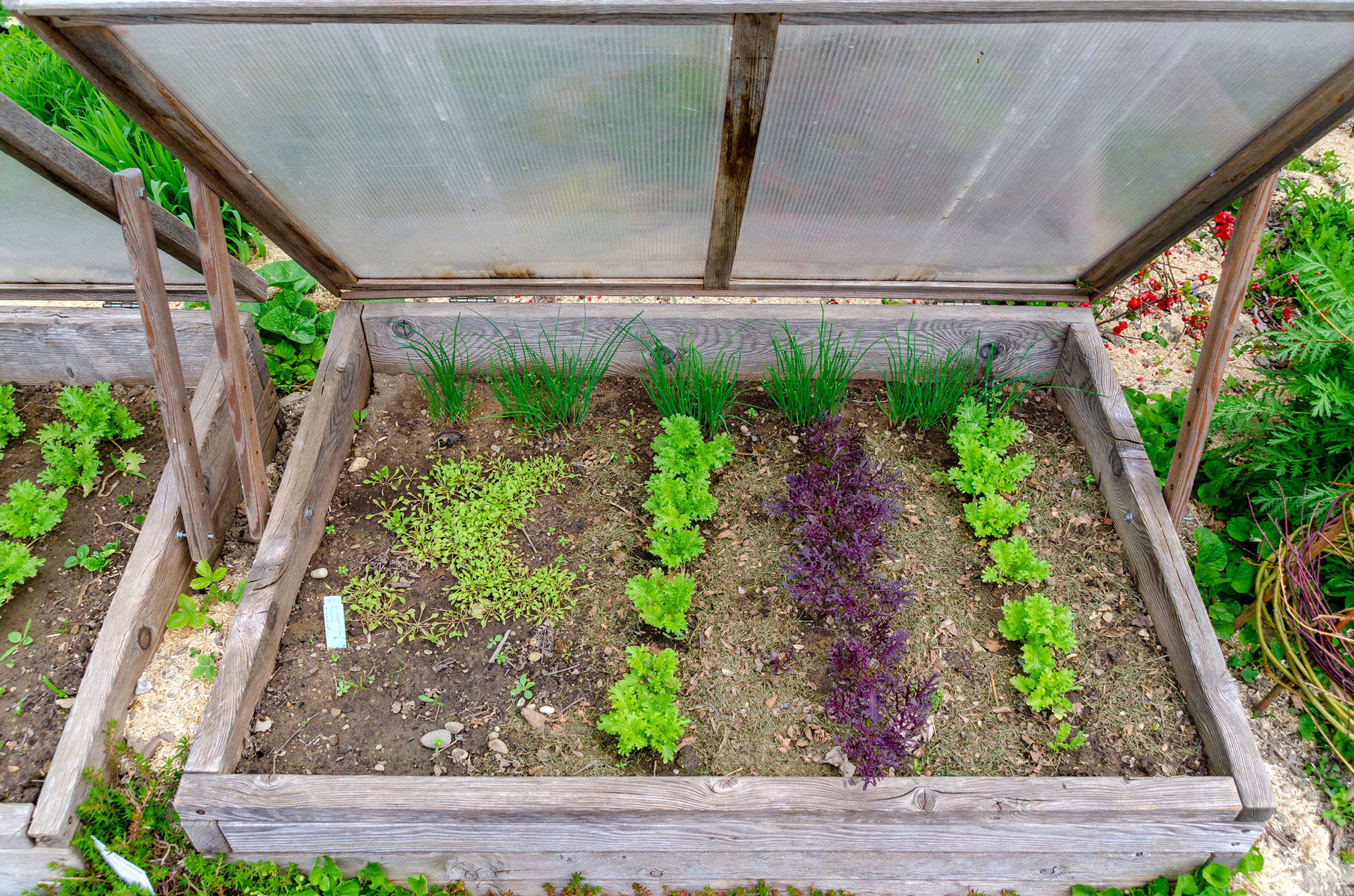 How to Make a Simple Cold Frame – Mother Earth News